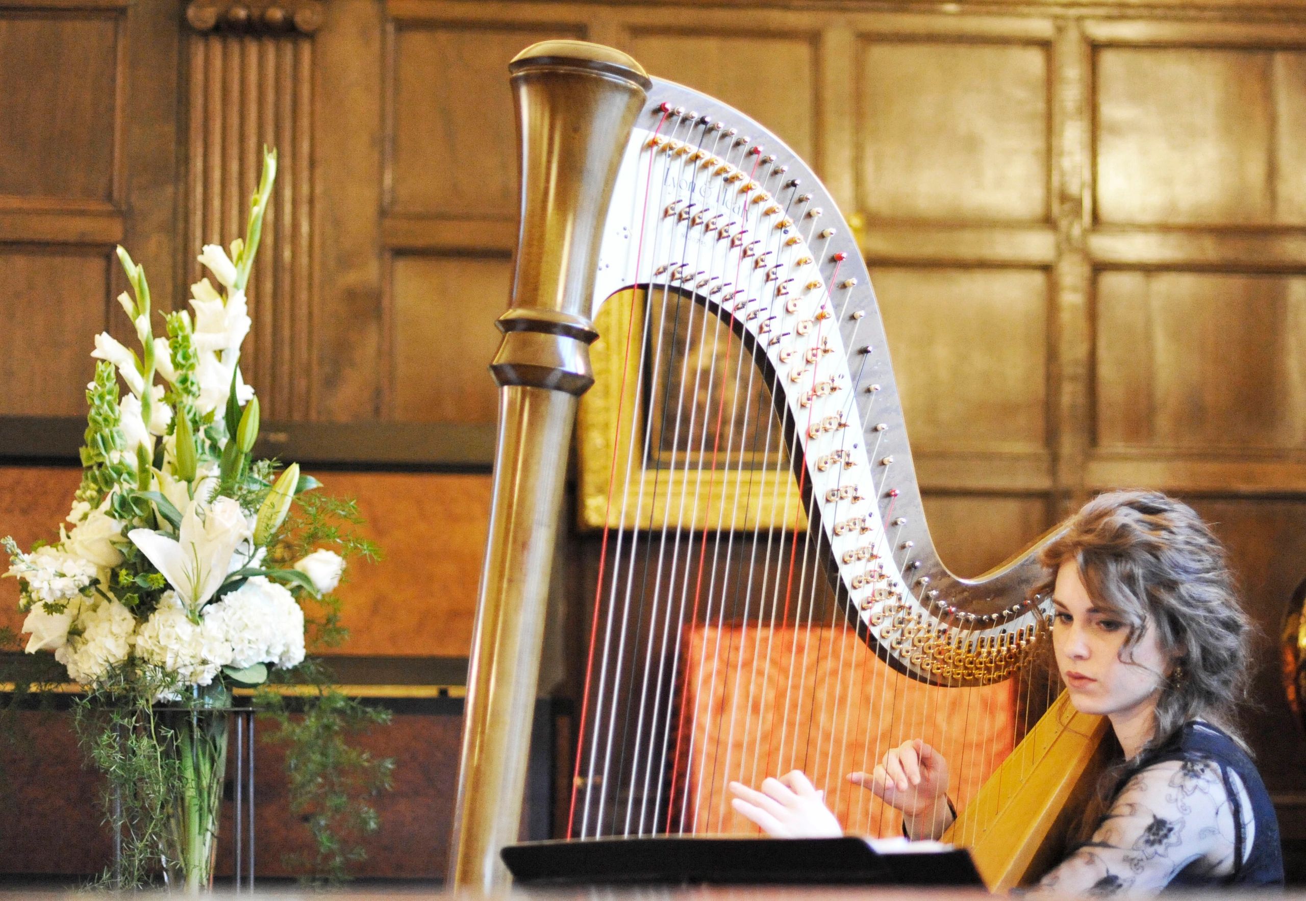 Harp Music by Spenser Hardin