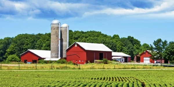 Cattle Farm Equipment Dealer