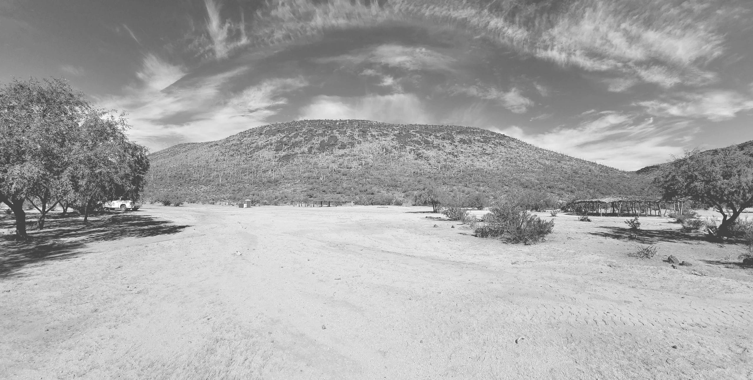 Story of Grace & Dignity