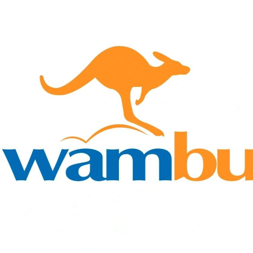 Abanicos de madera | wambu.mx