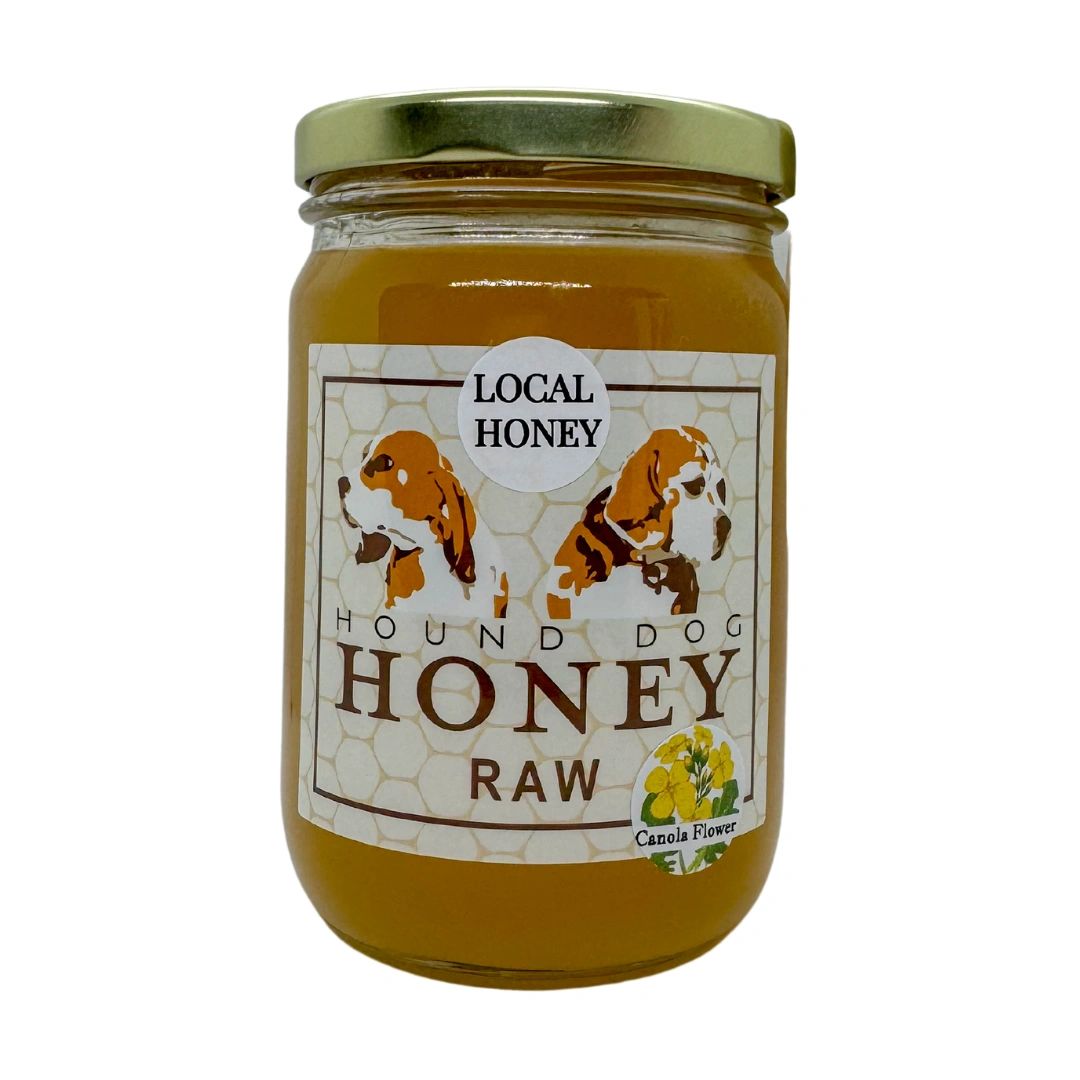 Canola Flower Raw Local Creamed Honey 1 lb Jar