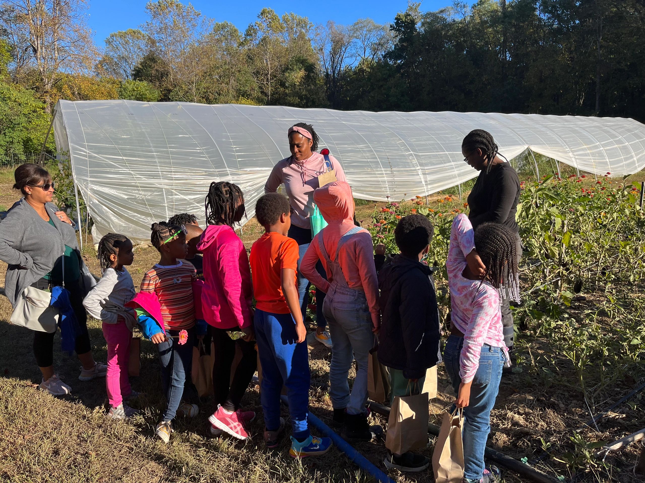 Deep Root Foundation