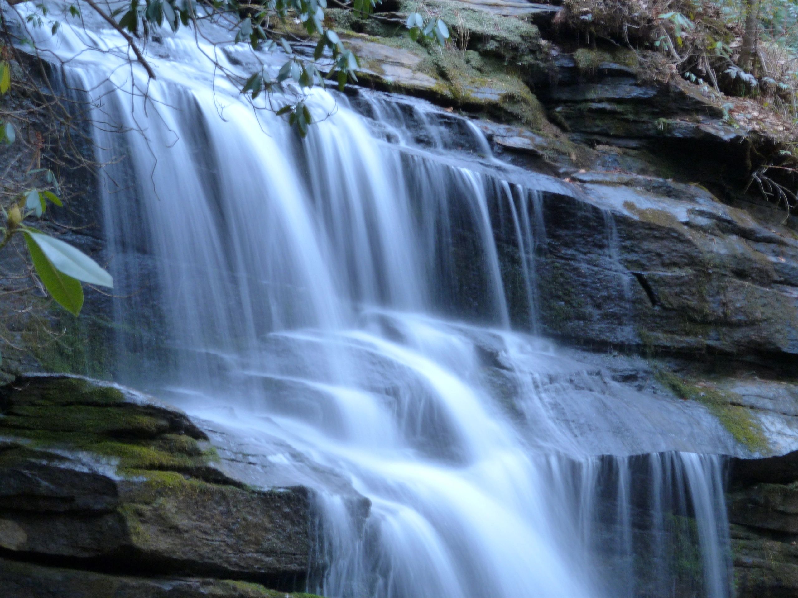 Lymphatic Enhancement - Black Mountain Lymphatic Therapy