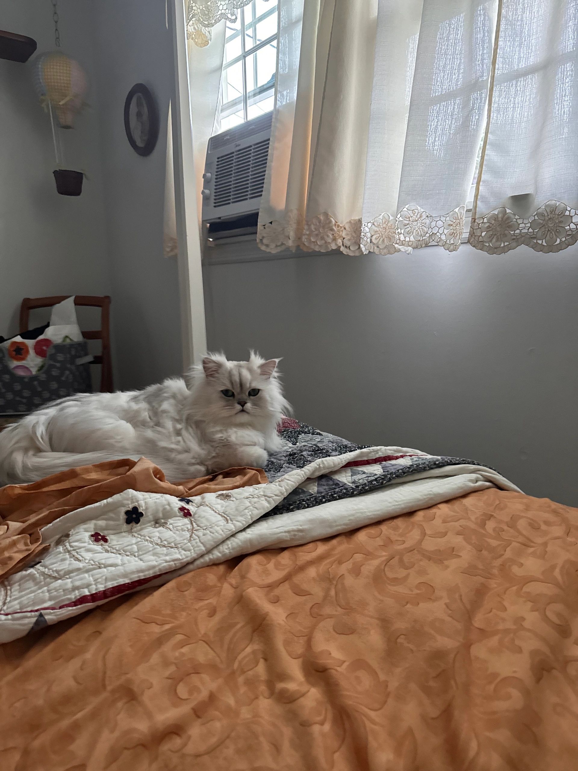 Grieving the Loss of a Pet