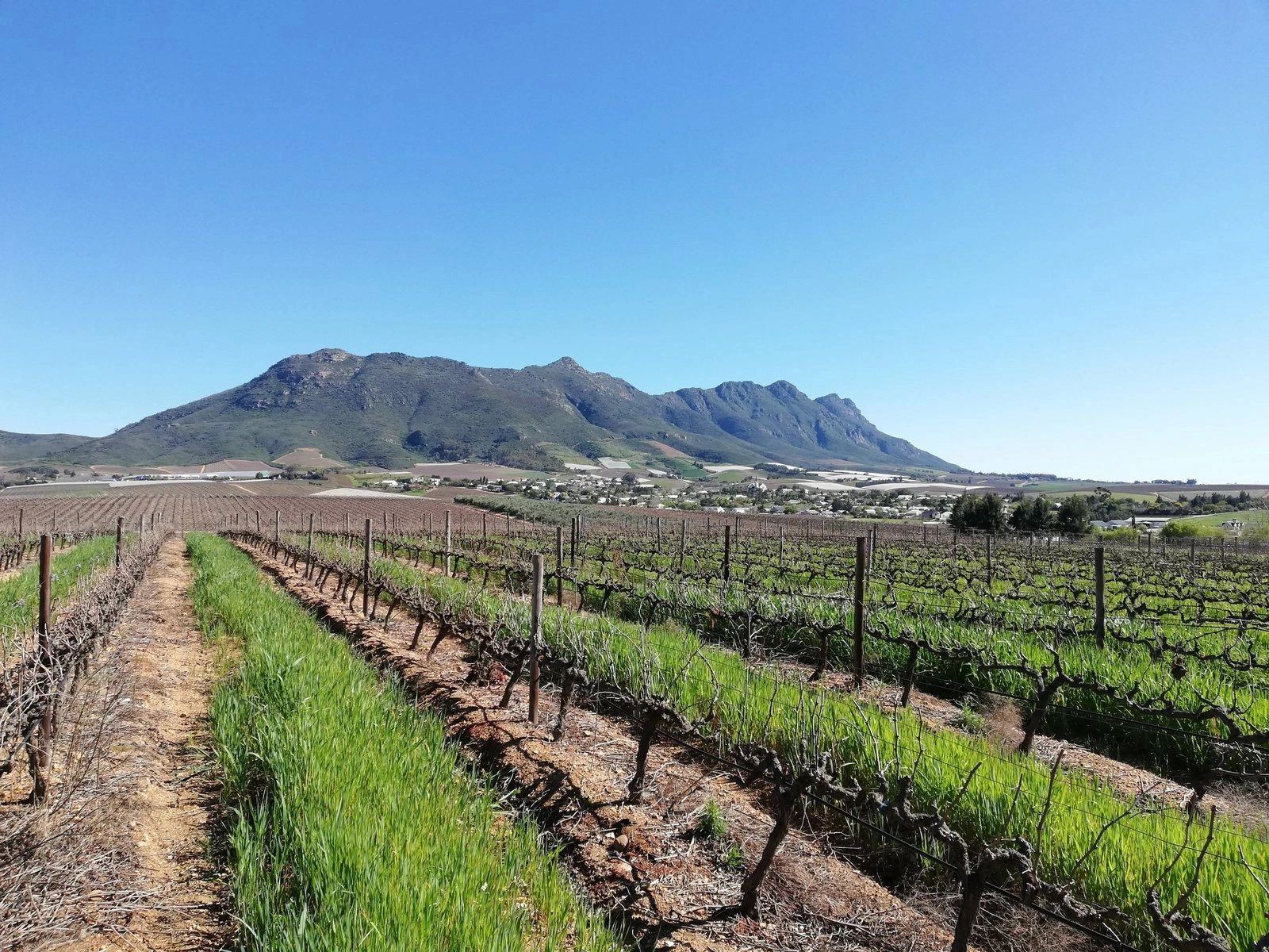 Riebeek Valley Ratepayers Association