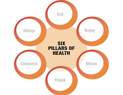 Six Pillars of Health