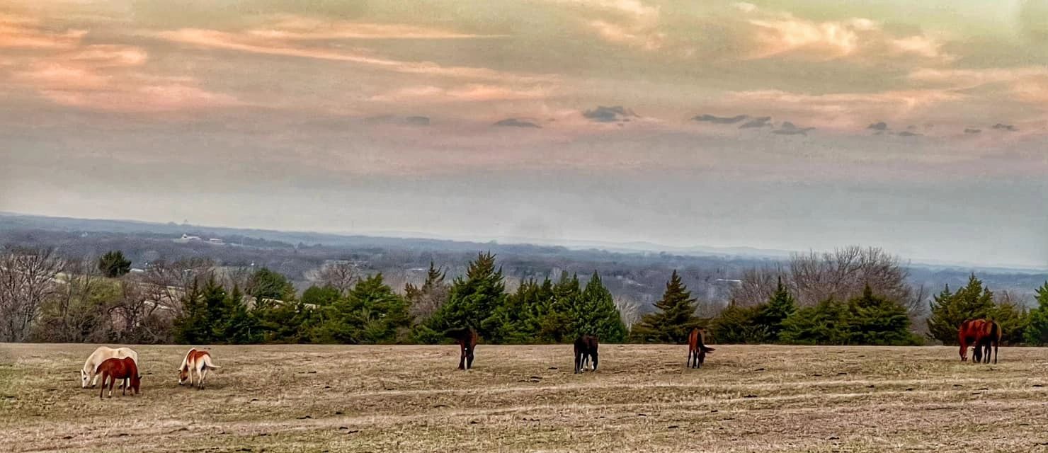 2R Ranch & Equestrian Center