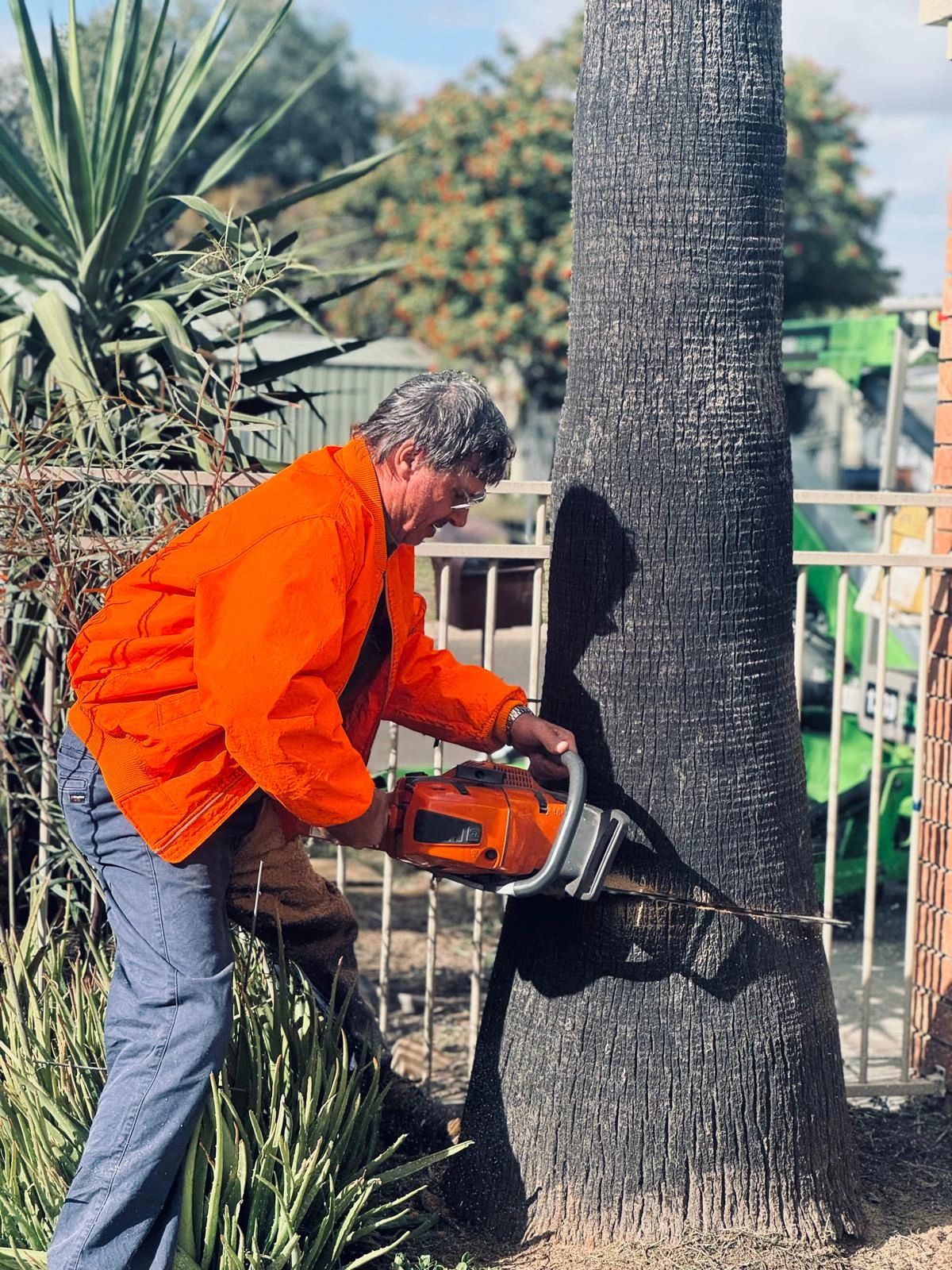 James' Yard Care Services