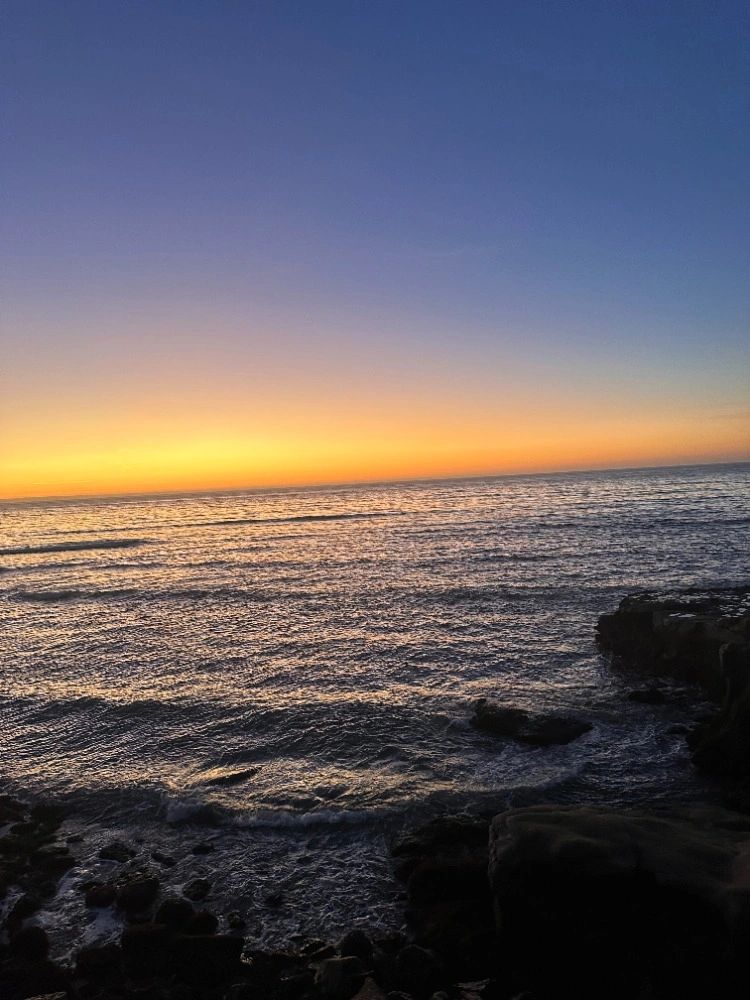 Elevate Evolve Experience