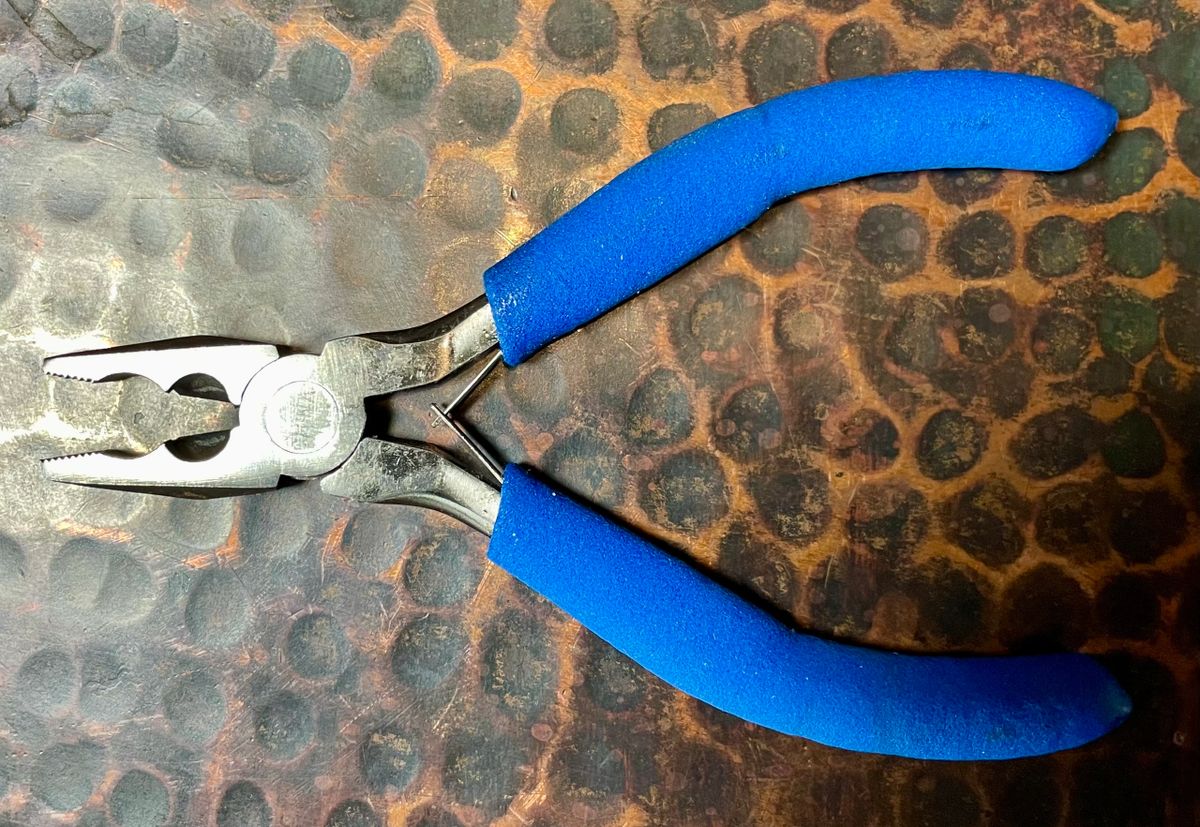 Reed Pliers, student