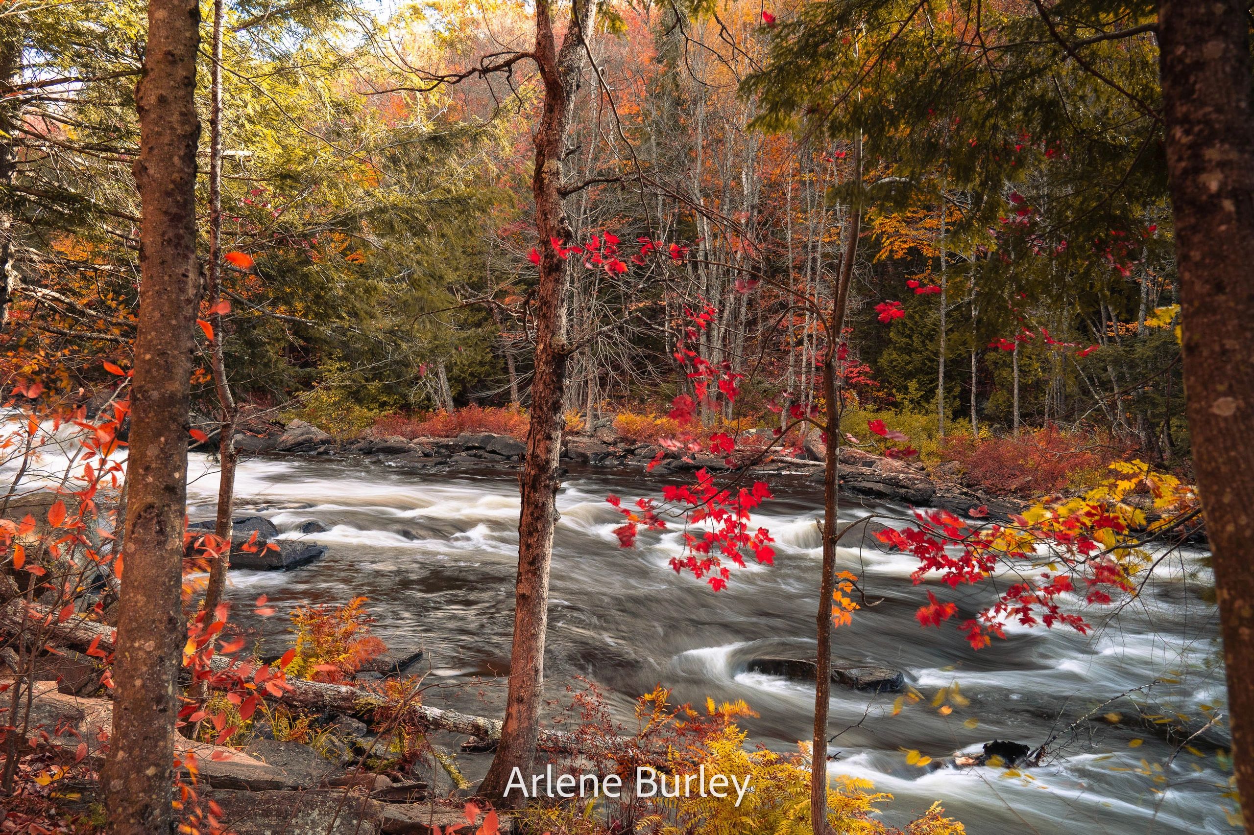 Summer's Scavenger Hunt