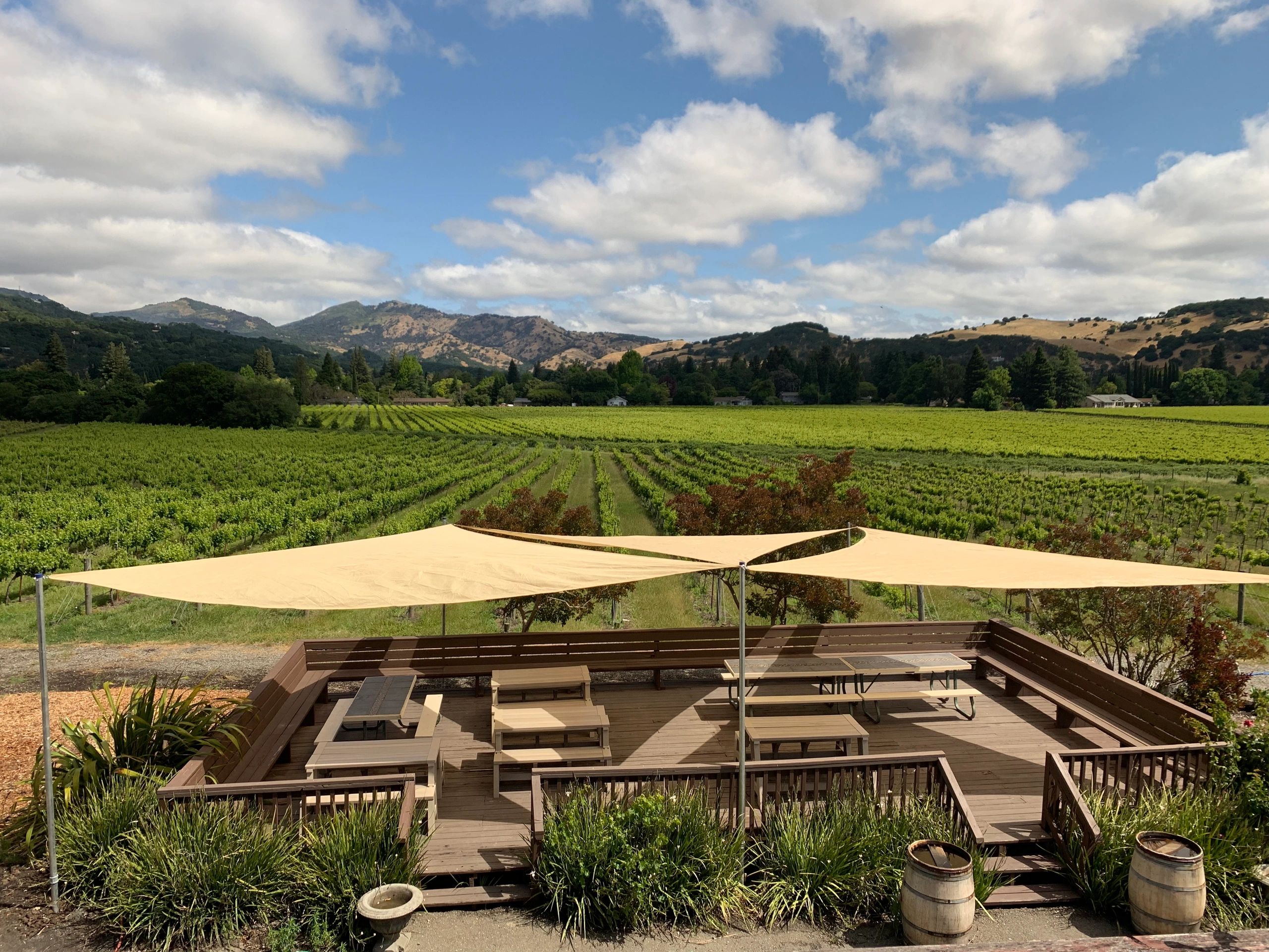 Winery - GV Cellars