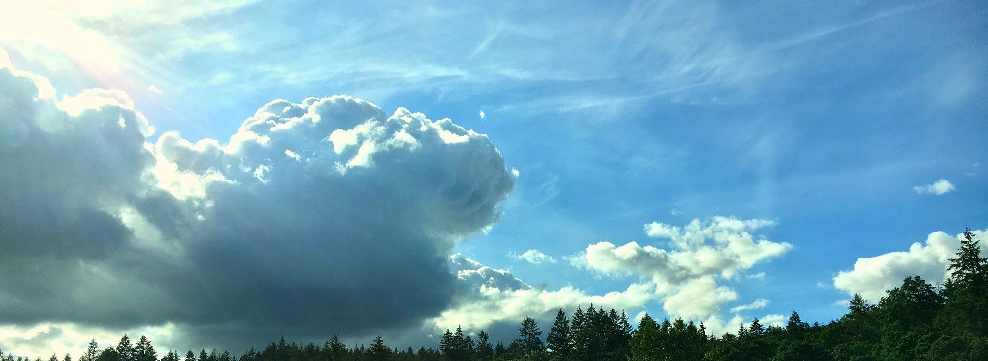 Leah Light, Published Author - Home