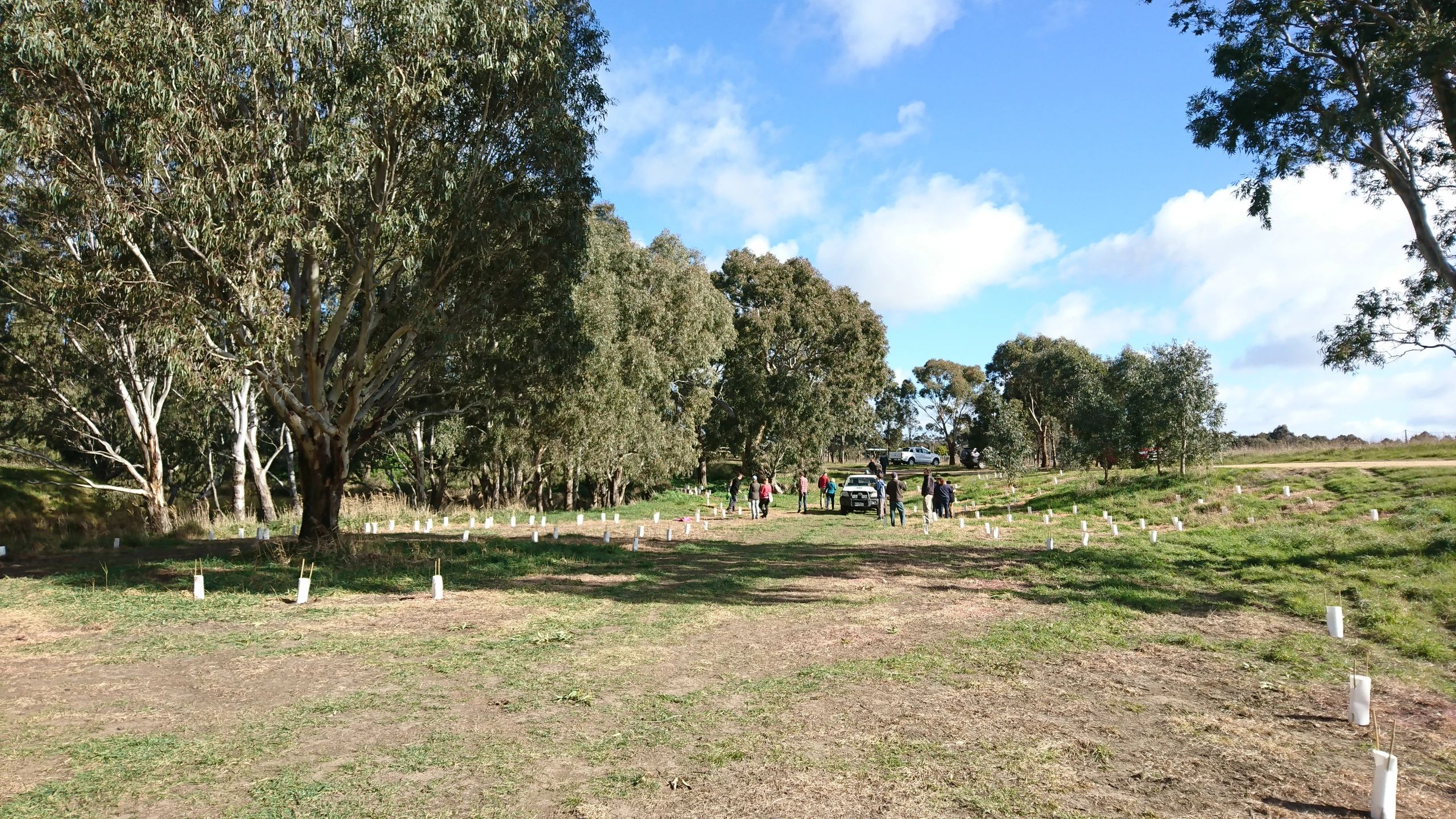 Geelong Landcare Network