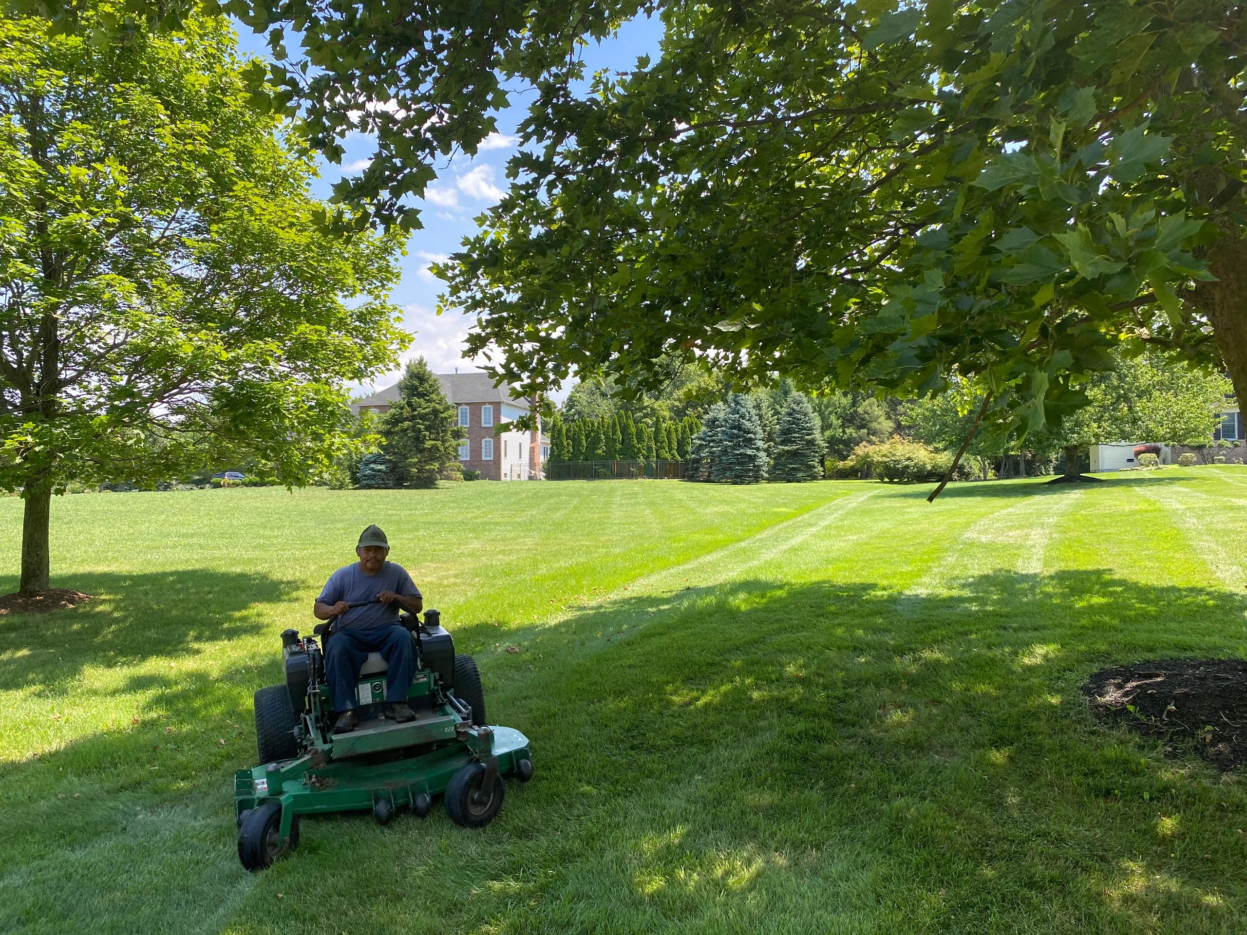 Perfect Landscaping - Home