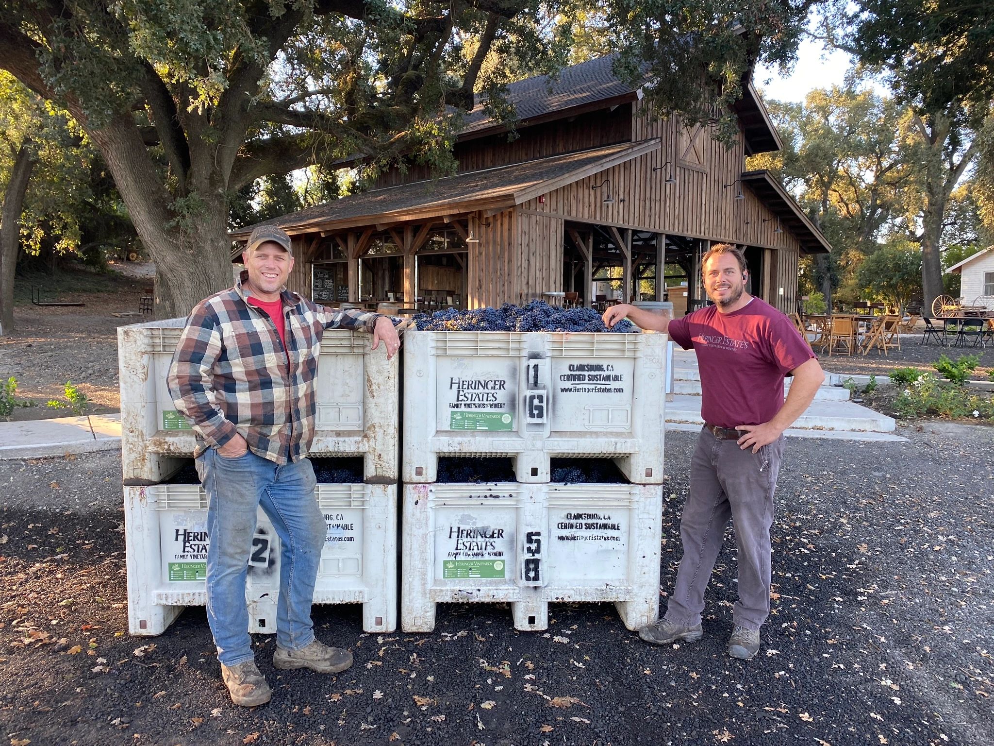 Heringer Estates - Bulk Wine, Winery, Grapes