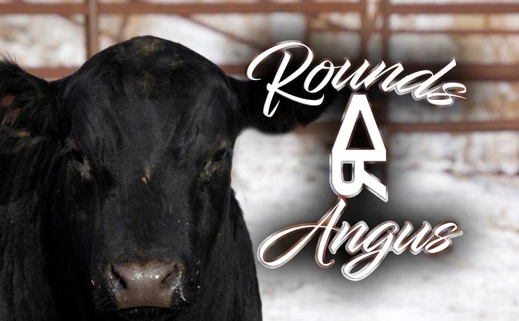 Rounds Angus Ranch