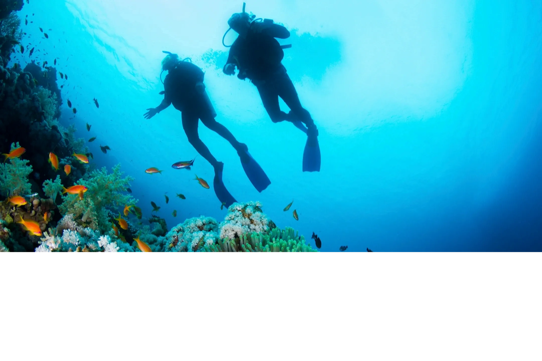 Adaptive Scuba Knoxville, LLC