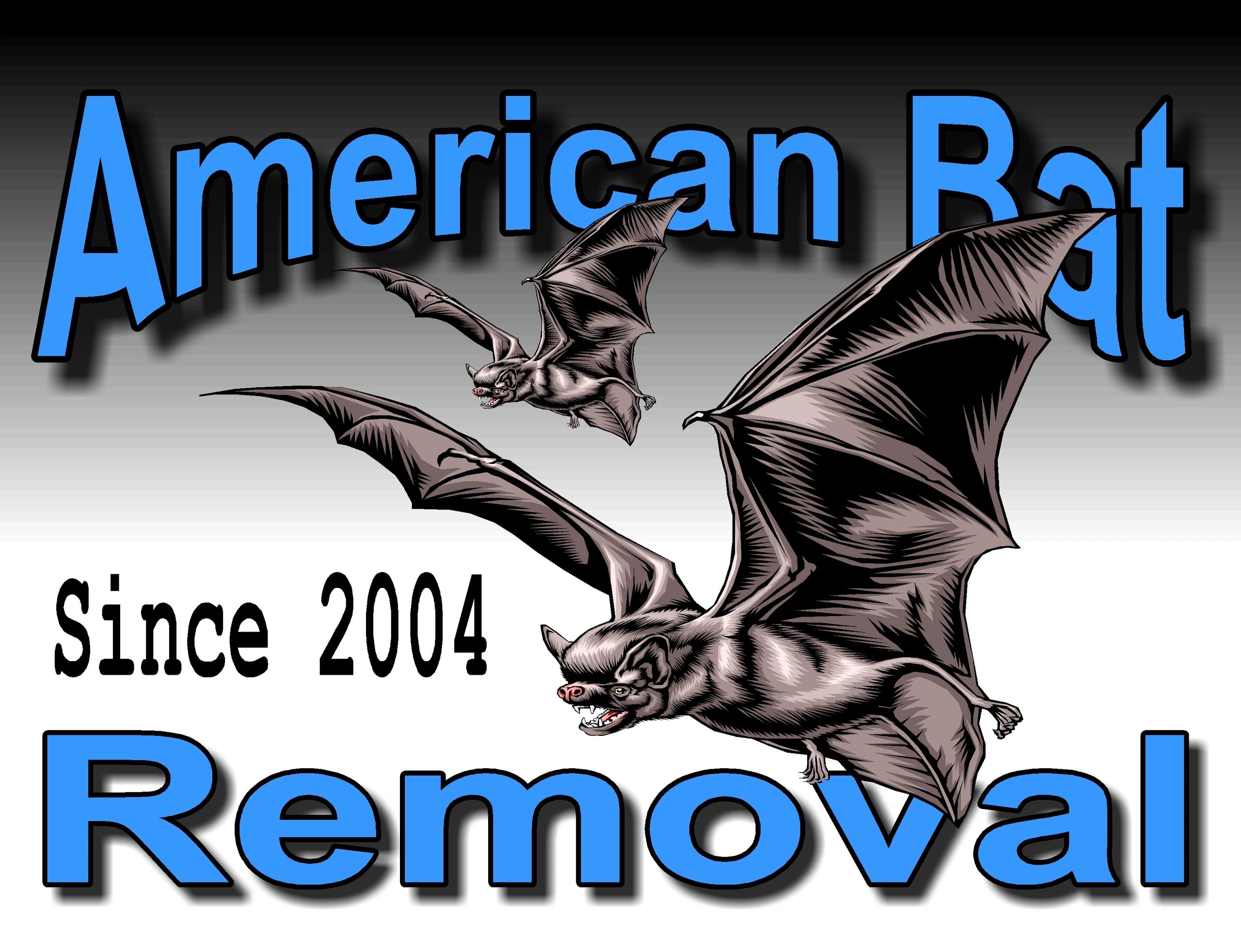 American Bat Removal - Bat Removal, Contact, Animal Control