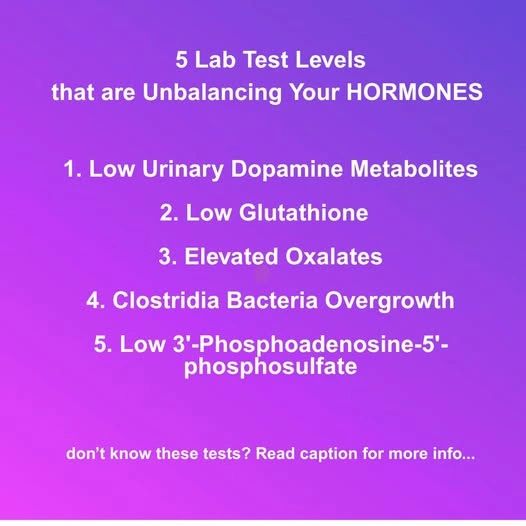5 Lab Test Levels that unbalance your hormones.