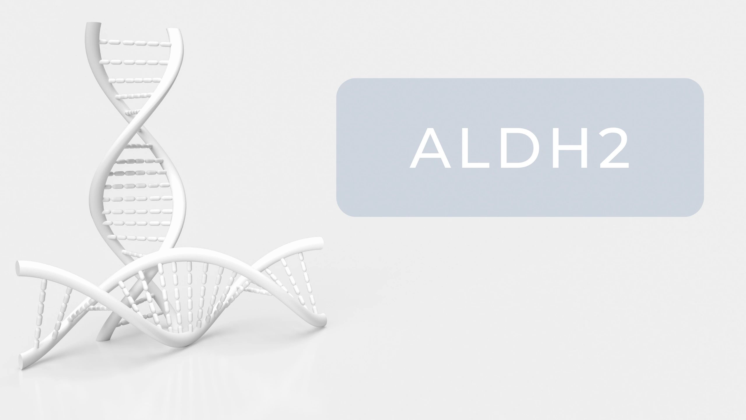 Hormones and the: ALDH2 Gene