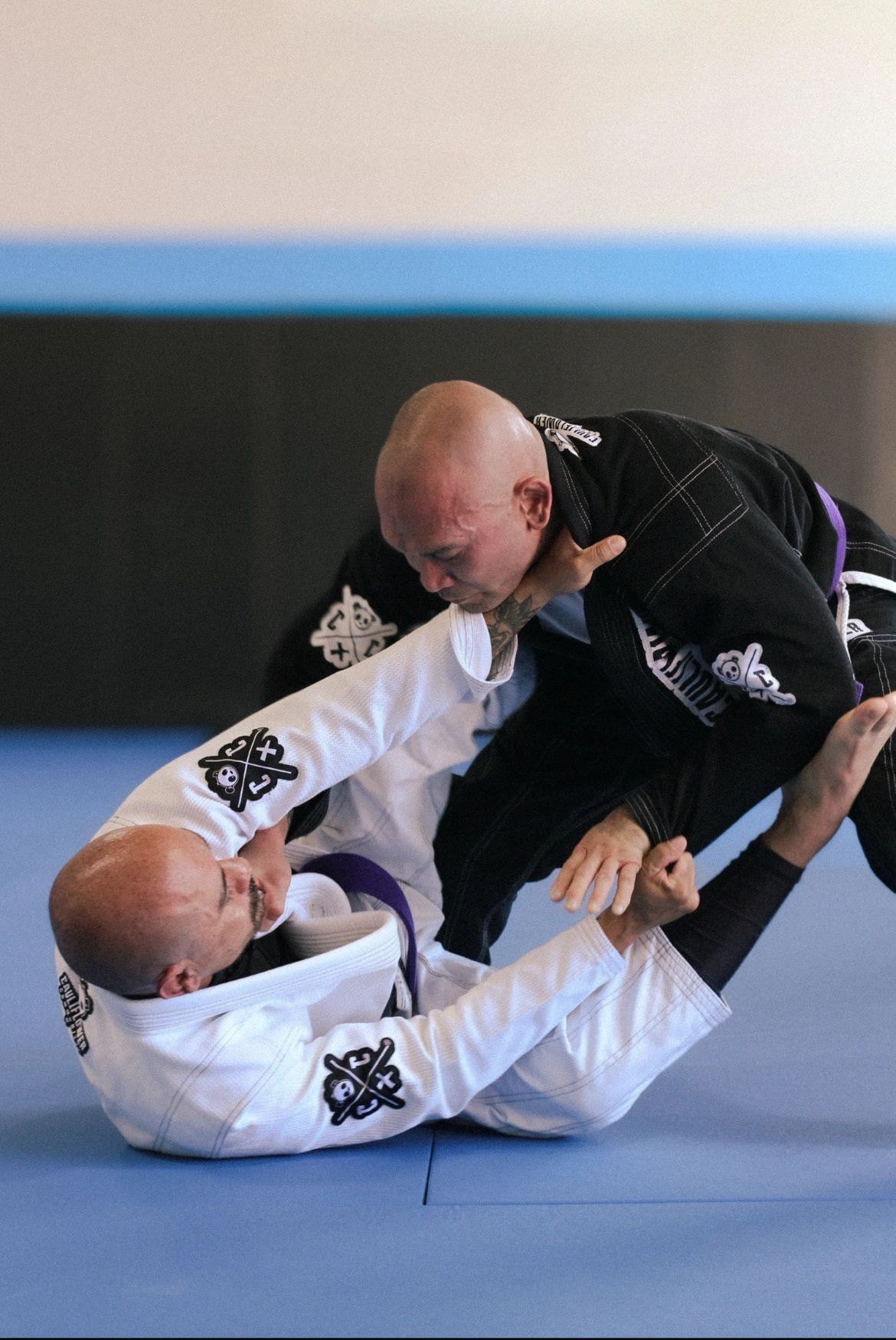 Top Grappling Jiu Jitsu Wrestling MMA Gear Online