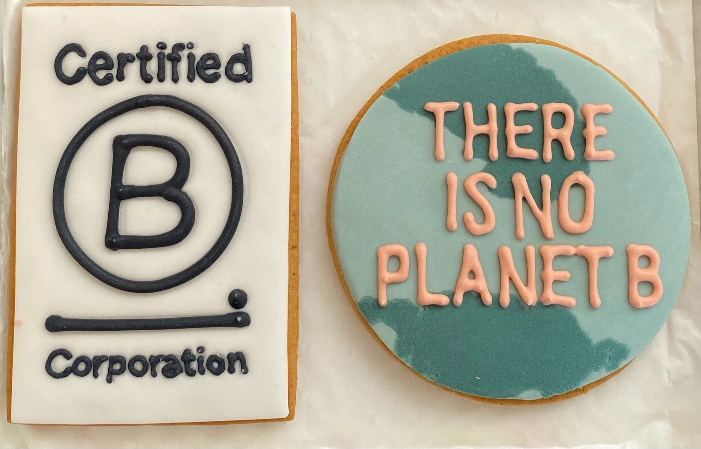 How B Corp Certification Elevates Your People Strategy