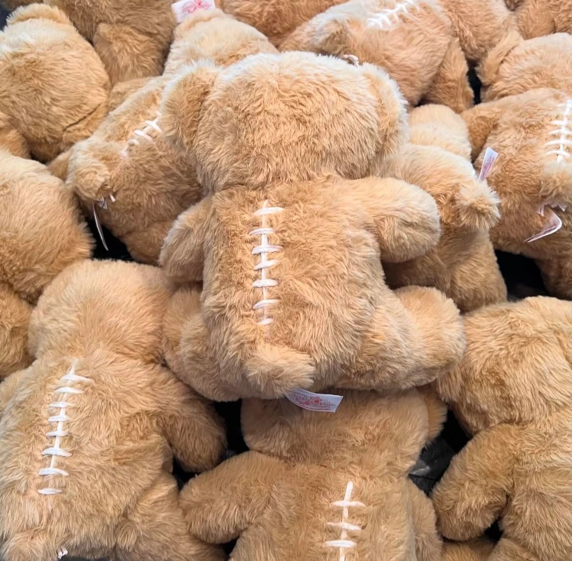 Spinal Fusion Higgy Bear