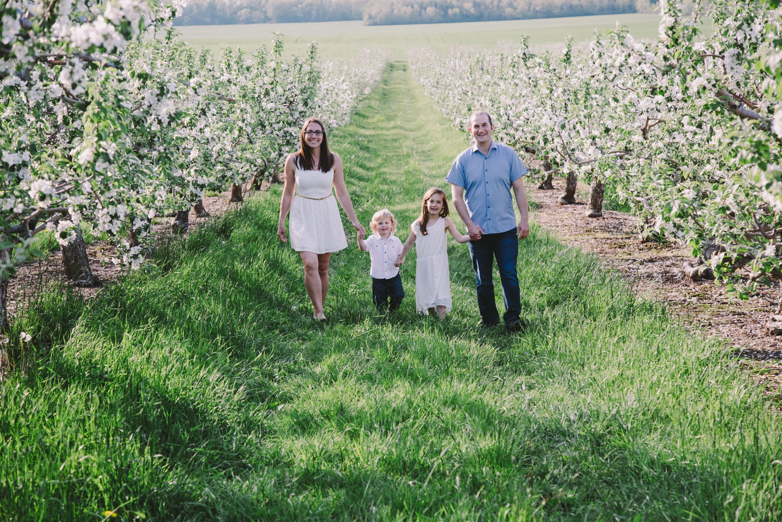 Corn Maze | Wynn Farms