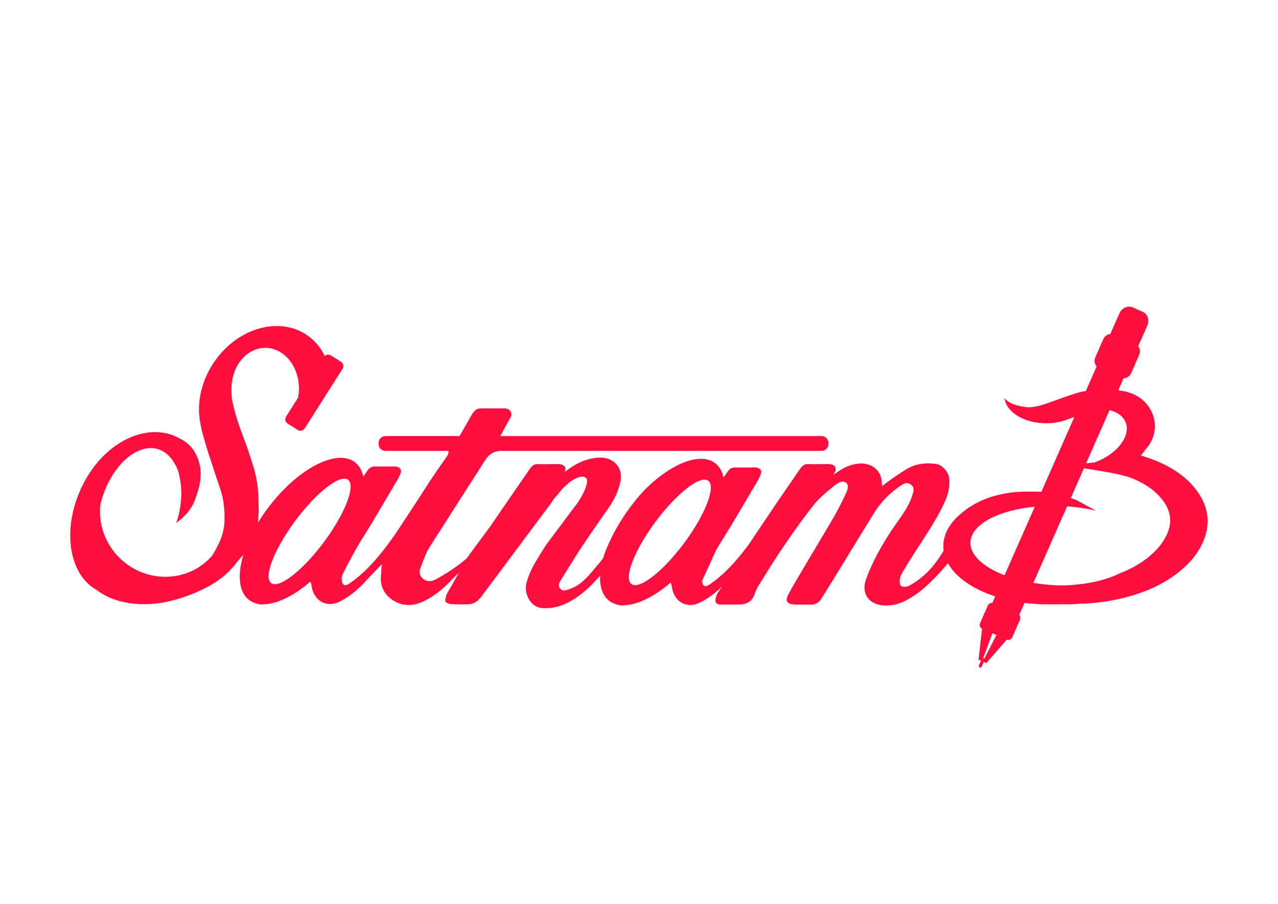 Satnam B - Motion Graphic Designer