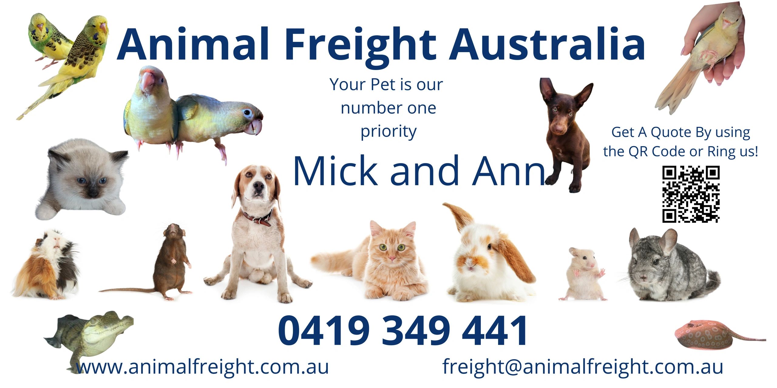 Animal Freight Australia - Pet Transporters, Pet Services, Animal Freight