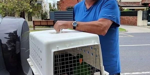 Animal Freight Australia - Animal Freight, Pet Services, Pet Freight