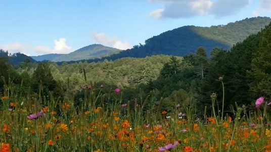 The Lake House | Blue Ridge Lodge & RV Park