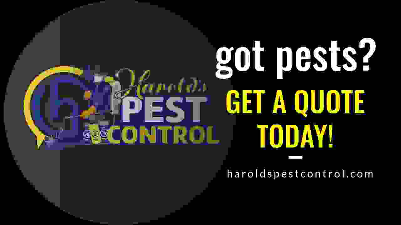 GET A QUOTE | Harold's Pest Control