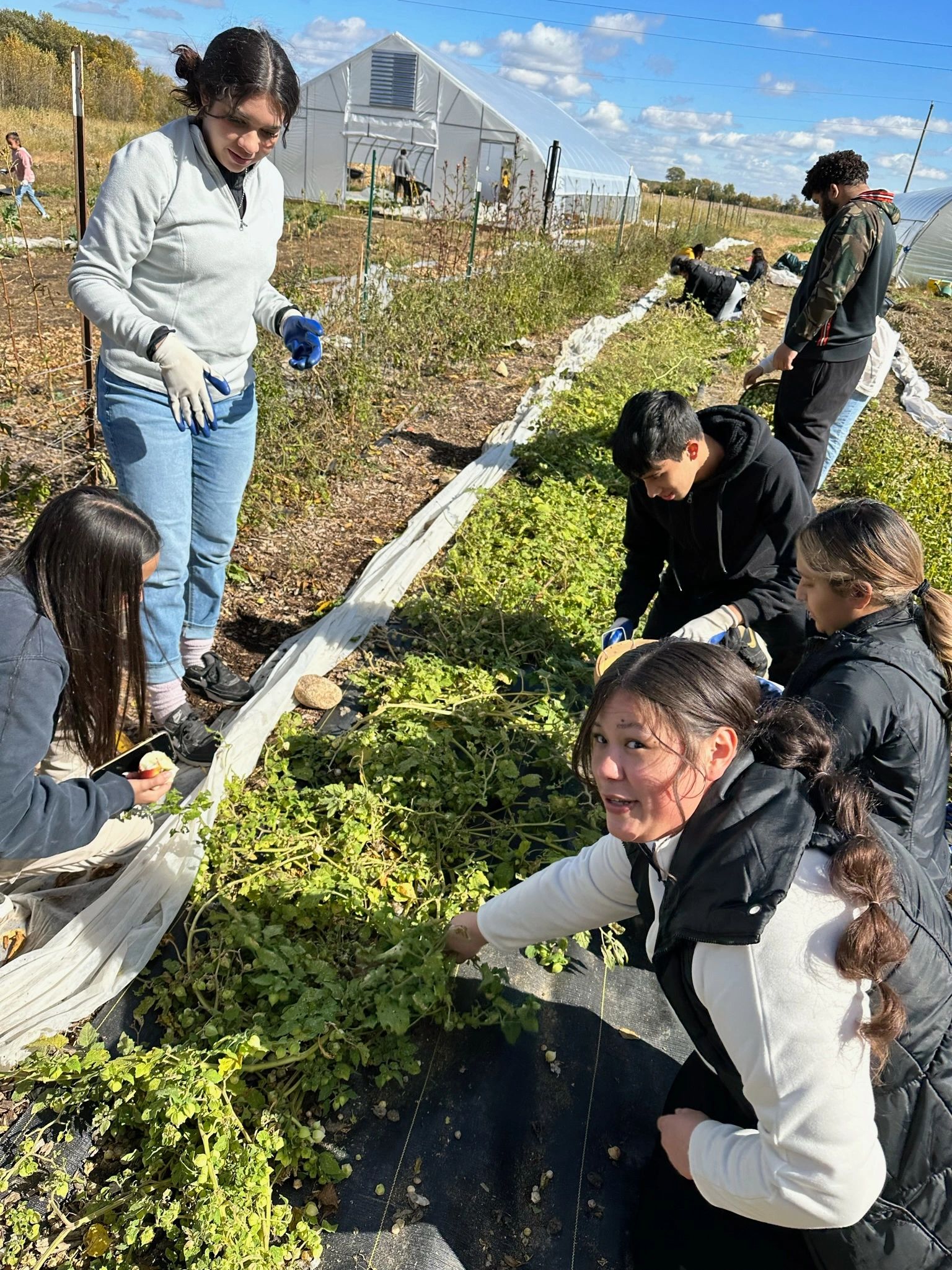 American Dream Project - College, Career Counseling, Becas