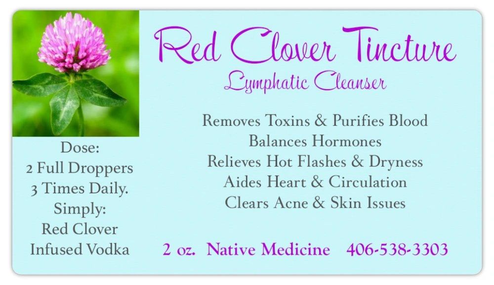 Red Clover Tincture: Clears Cancers, Detoxifies Blood & Lymph System ...