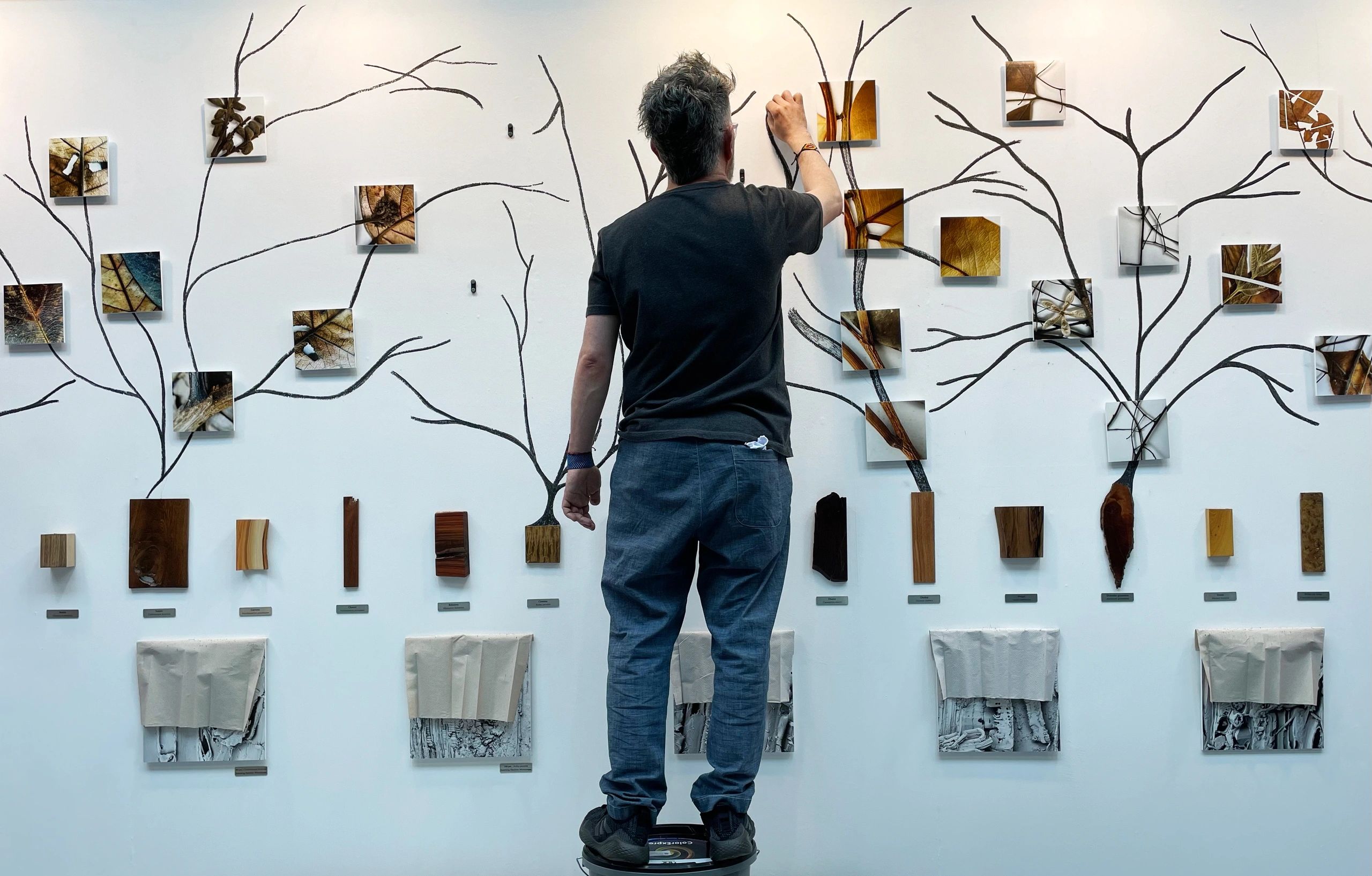 Germán Gómez Artista