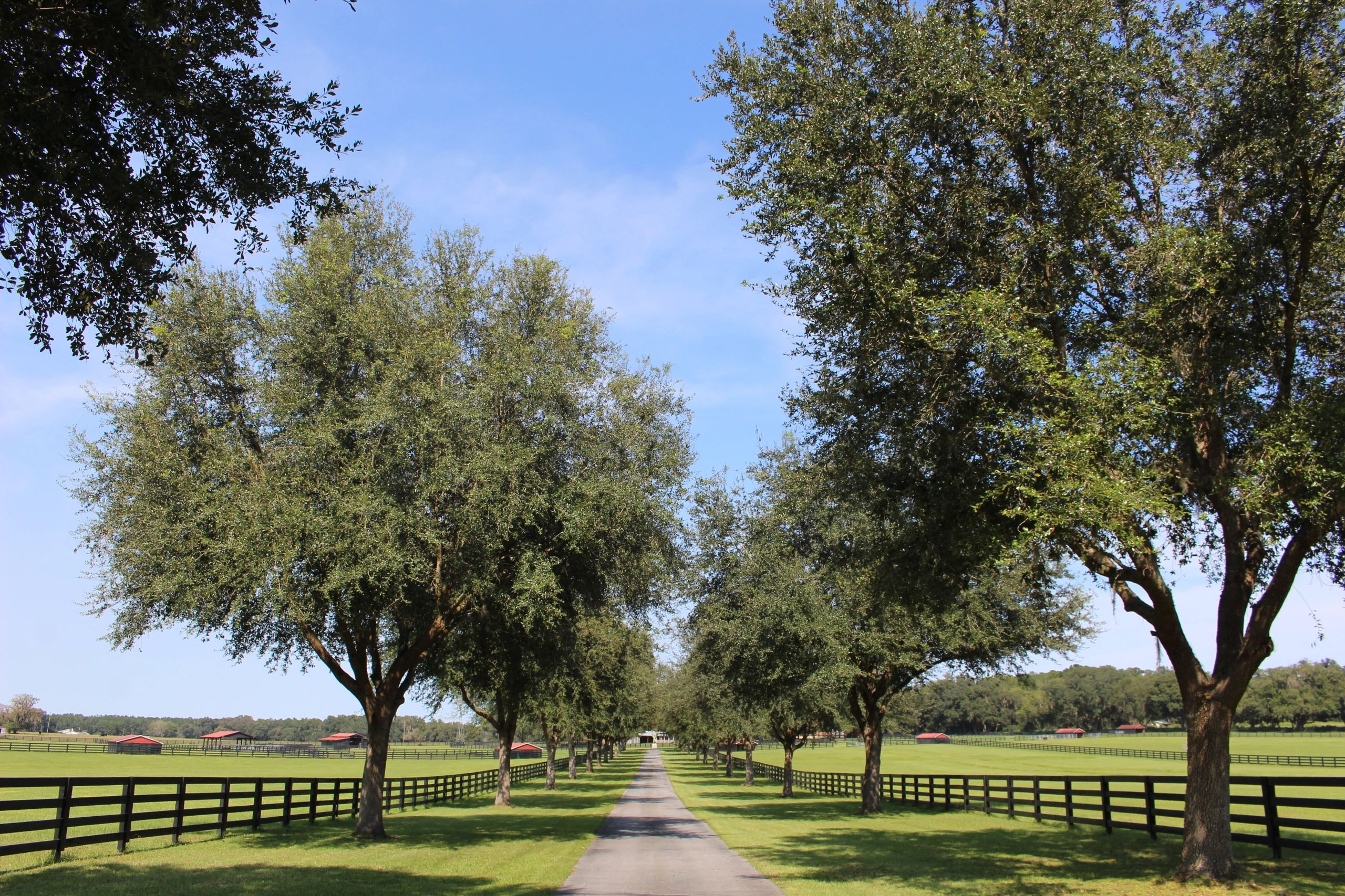 Bearded Brothers Events