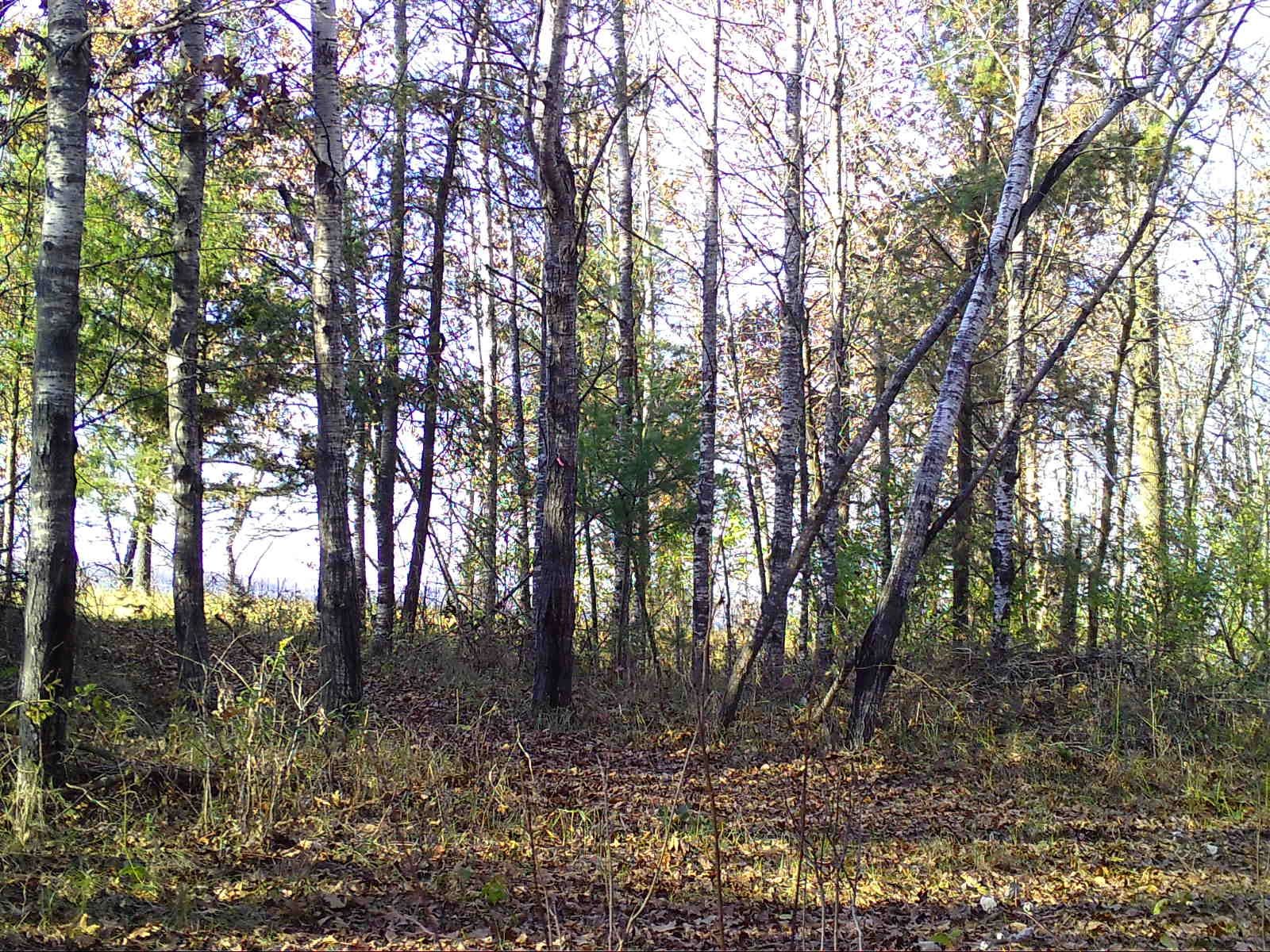 Central Wisconsin Nature Foundation