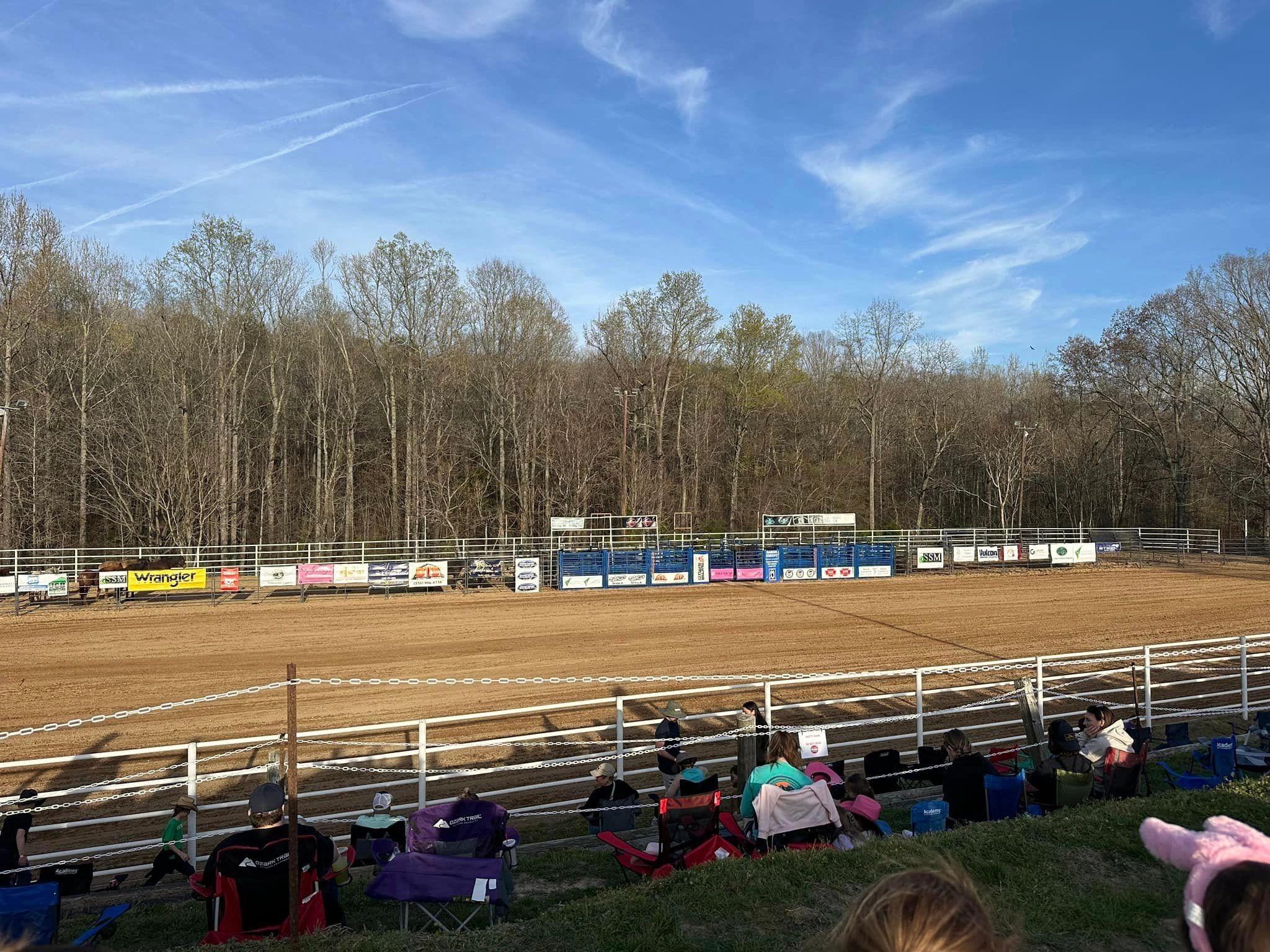 Oak Ridge Horse Show - Horse - Oak Ridge, North Carolina