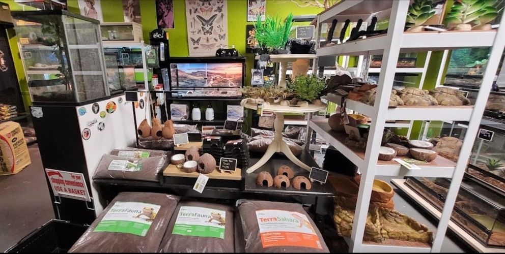 Top Reptile Care Supplies at Indigo Reptile Store