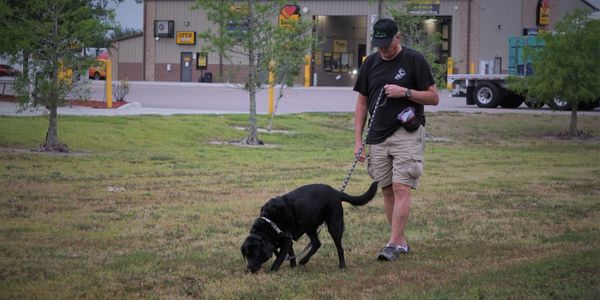 Southwest Florida K9 Services