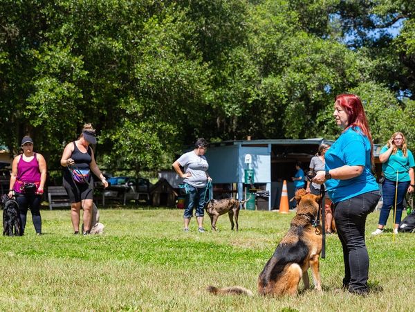 Southwest Florida K9 Services
