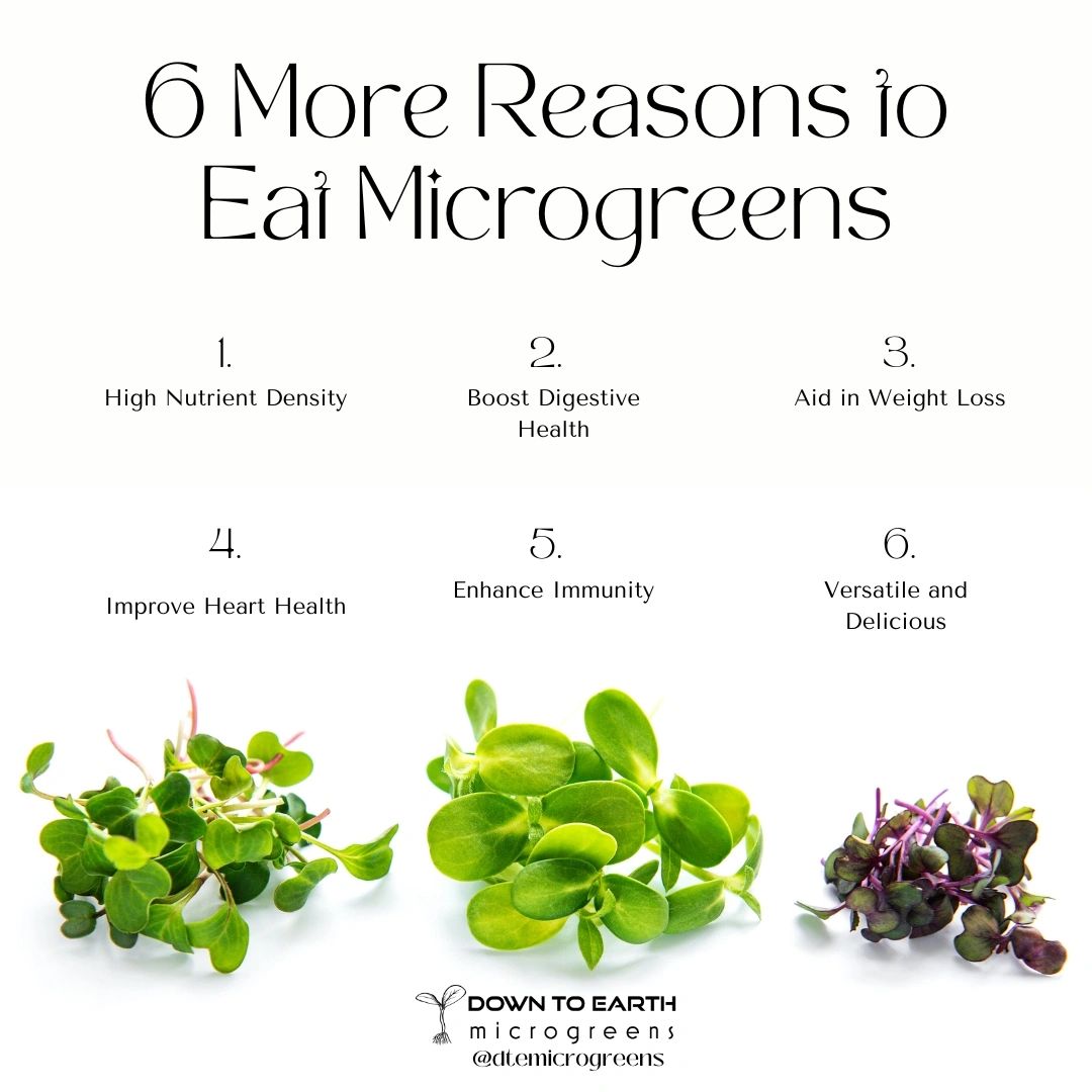 6 More Reasons to Eat Microgreens
