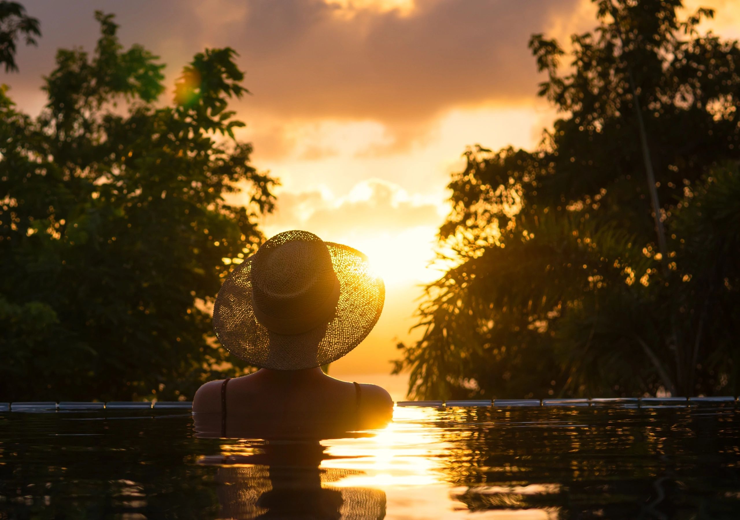 Summer dreaming - with purpose