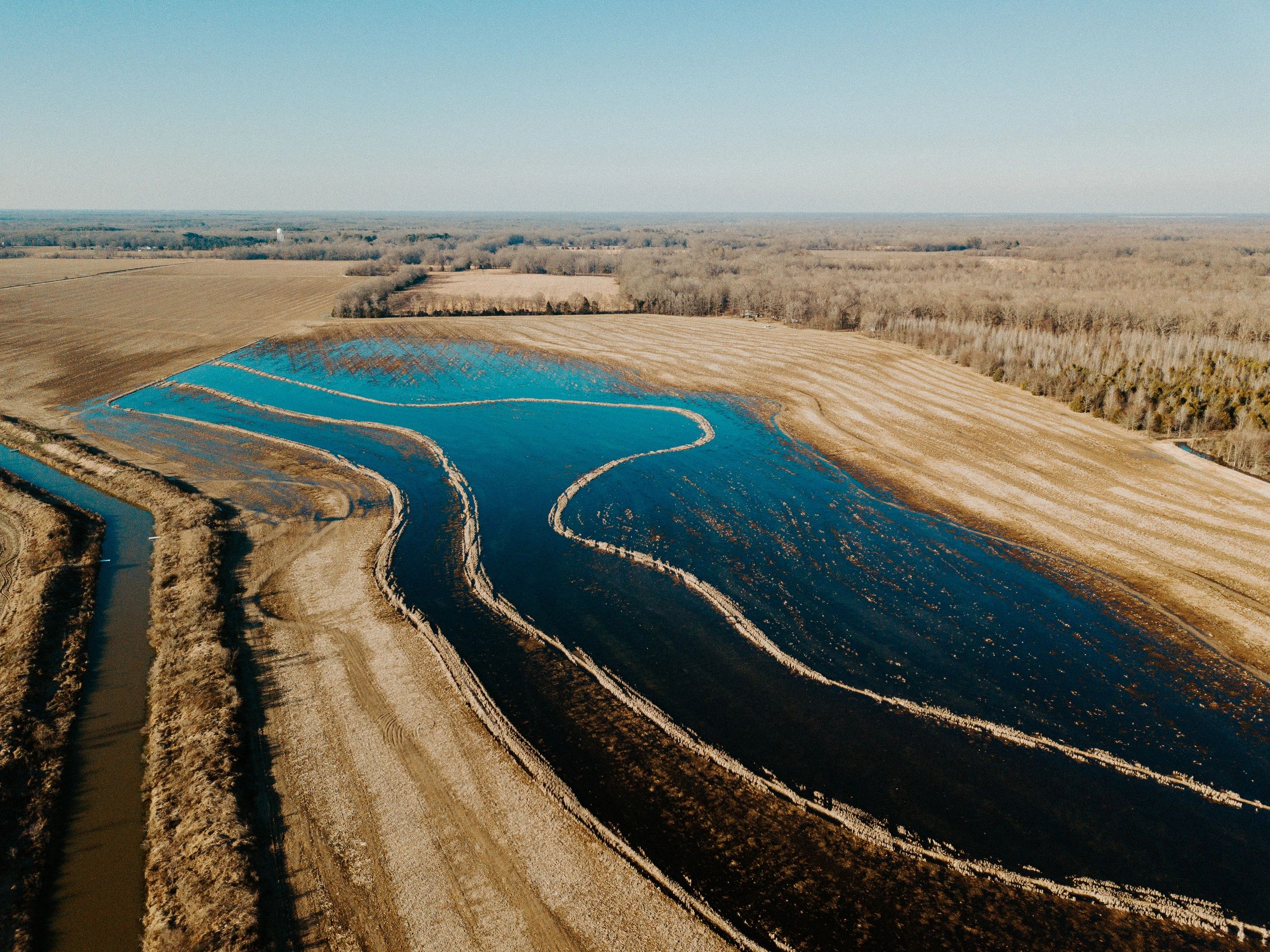 Top Arkansas Hunting Land for Sale | Magee & Co.