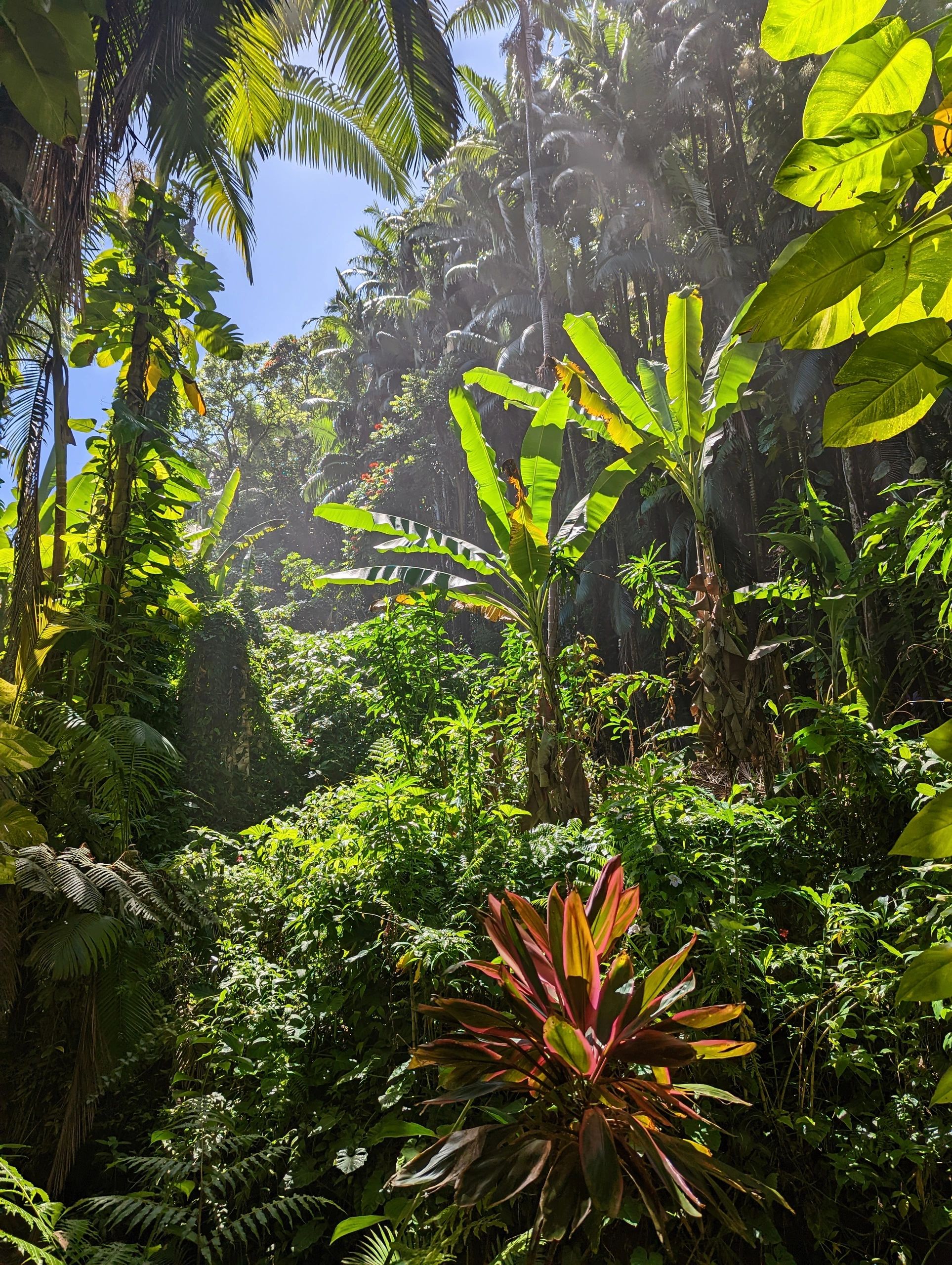 Uncharted Island Arts