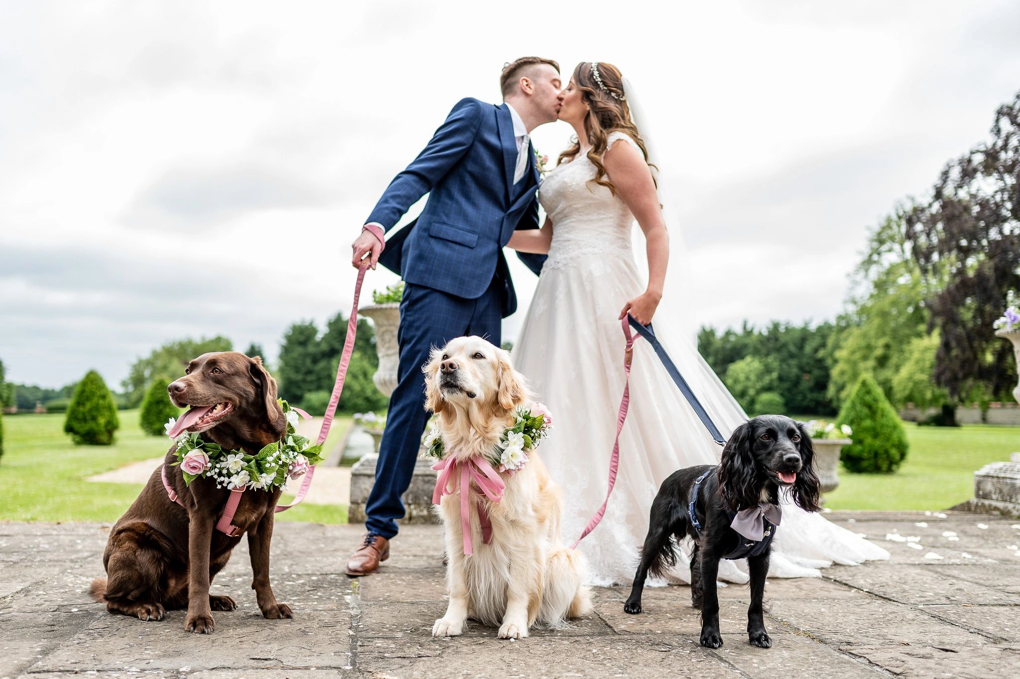 Professional Wedding Dog Chaperone Service