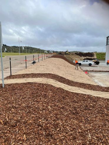 Gallery | Pearce Cameron