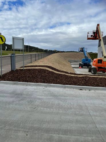 Gallery | Pearce Cameron